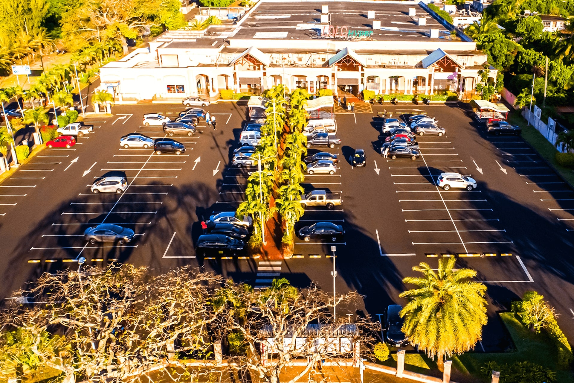 Contact Us - Lolo Group